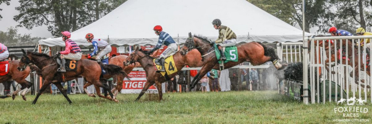 Ladies Day: Female Trainers Win All Six Steeplechase Races At Foxfield ...