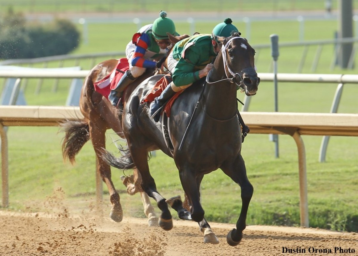 Sam Houston: Pinky Ring Bling, Eagle Express Favored In Thursday's ...