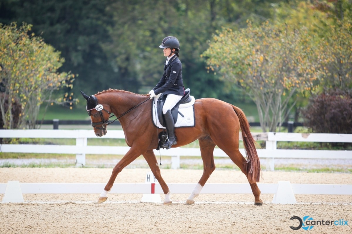 Horowitz On OTTBs, Presented By Excel Equine: 'Quirky' Kubo Cat Dished ...