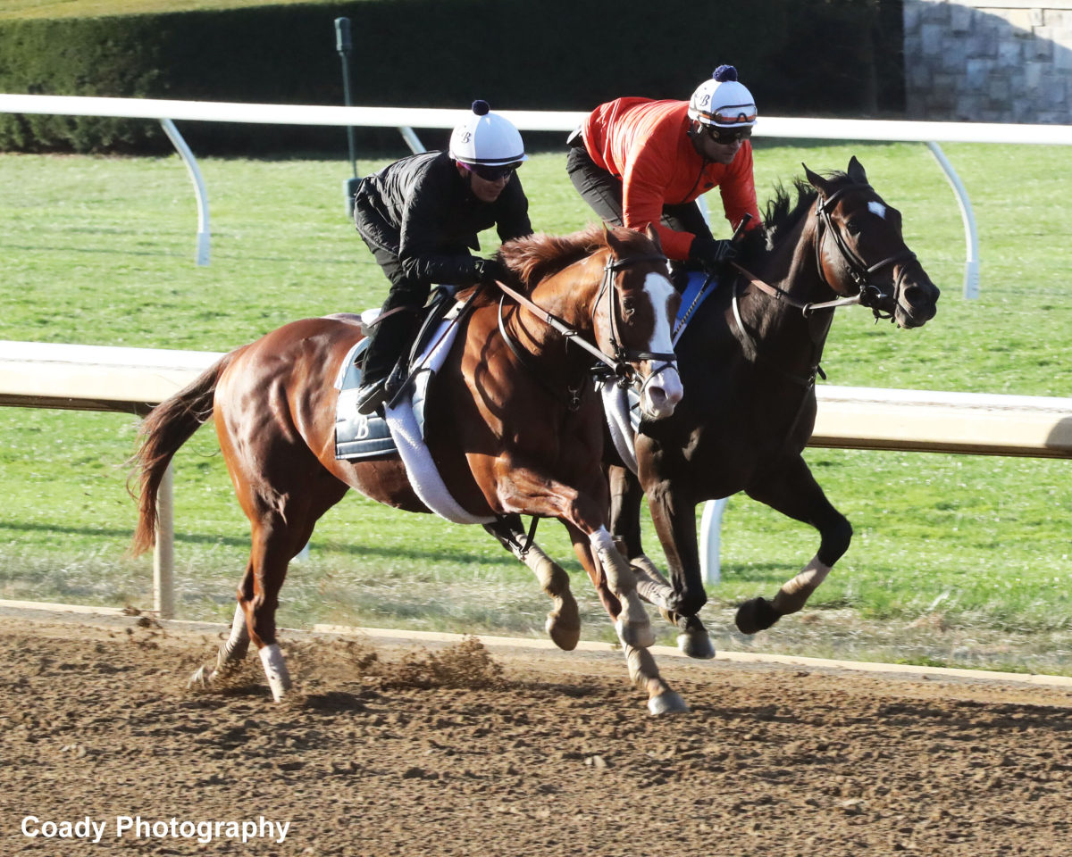 Jack Christopher, Blazing Sevens Lead Brown Contingent In 'Serious ...