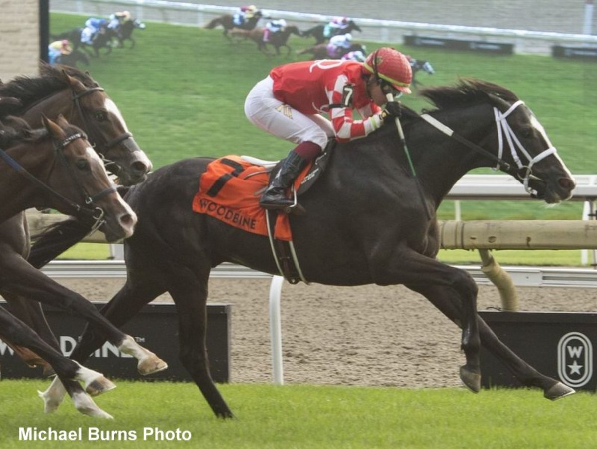 Philip My Dear, Velocitor Among 124 Nominees For Canadian Triple Crown ...