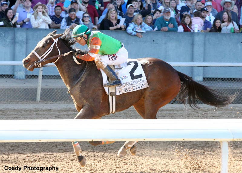 Larry Jones Hopes Change Of Scenery Gives Bob An 'Edge' At Kentucky ...