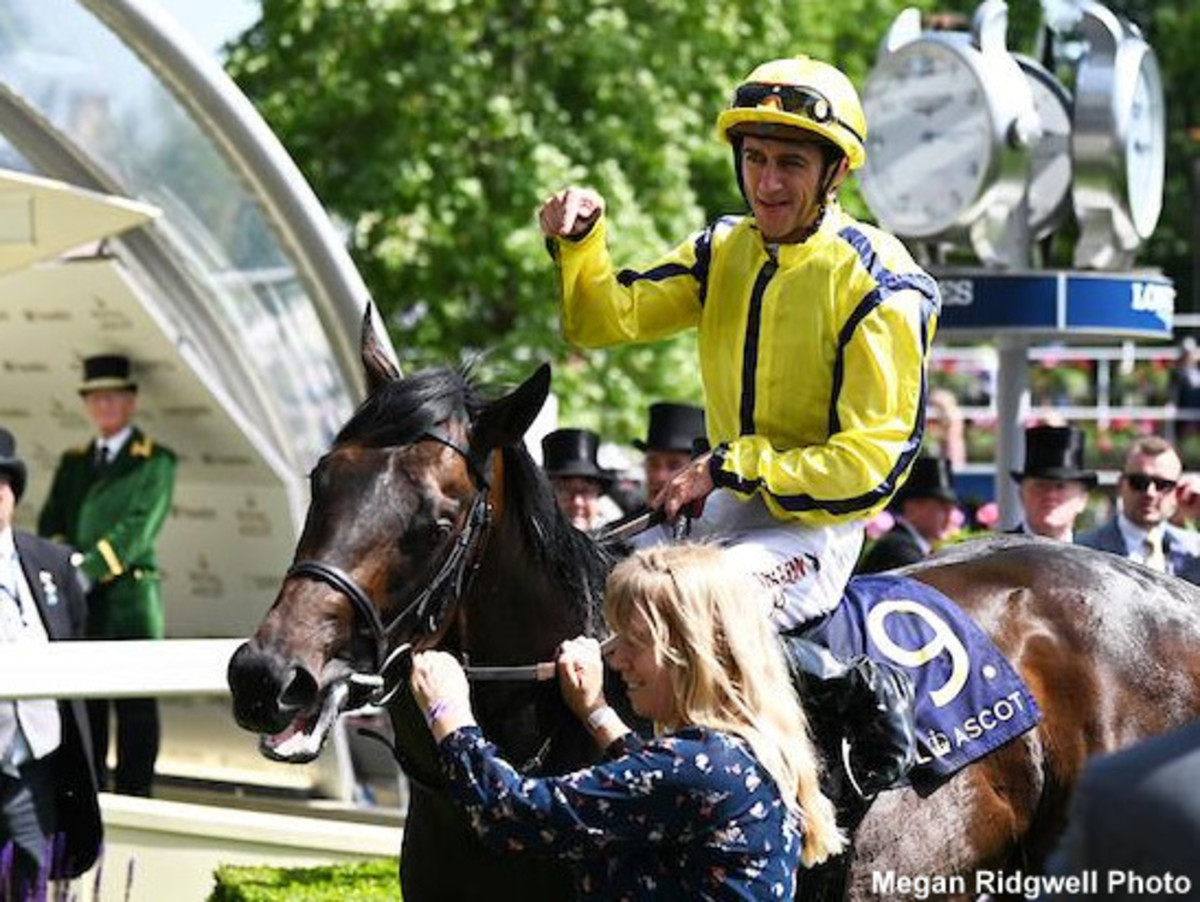 'A Dude Of A Horse': Perfect Power Proves Sprinting Is His Game In ...