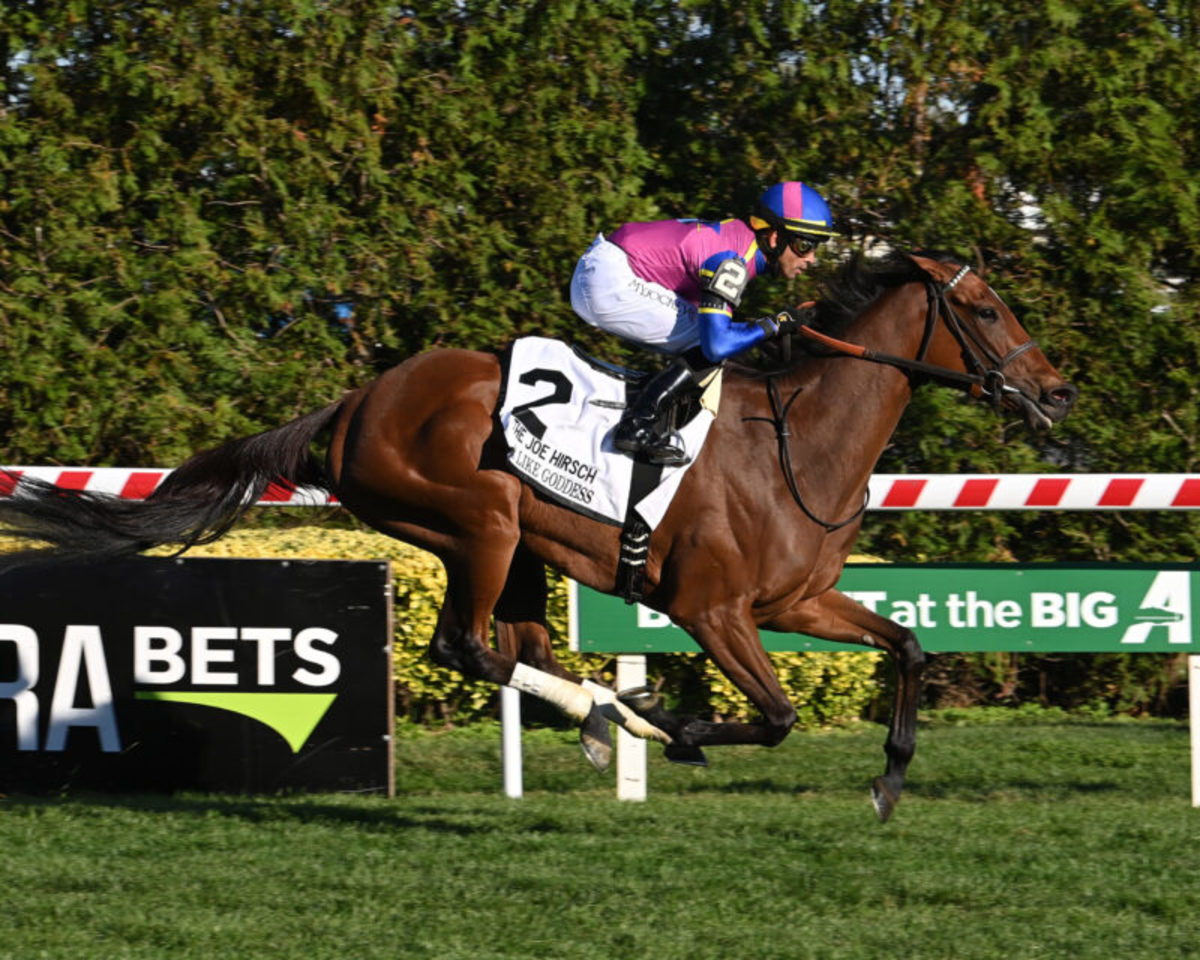 Jose Lezcano Wins Two Graded Stakes En Route To Jockey Of The Week ...