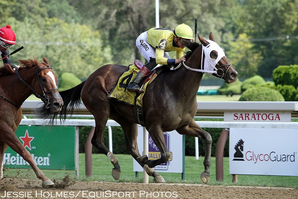 Cilla Named Louisiana's 2021 Horse Of The Year - Paulick Report ...