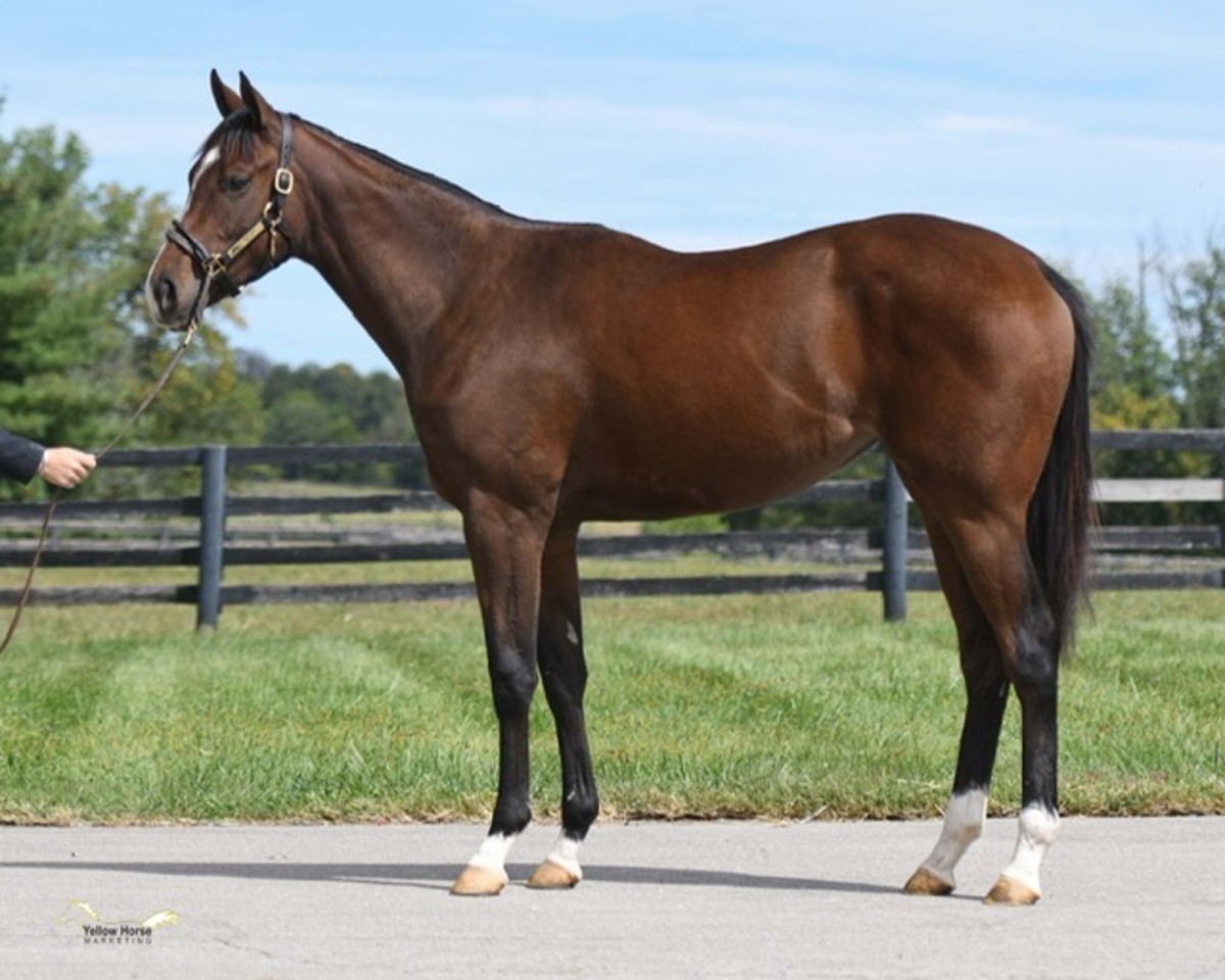 Wanamaker’s 2022 October Sale Catalog Now Online - Paulick Report ...