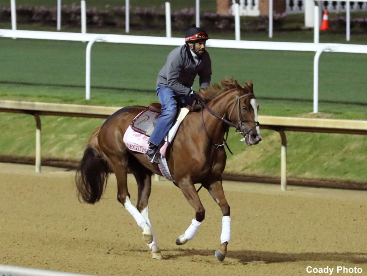 'More Seasoned' Beguine Chasing Graded Breakthrough In Gallant Bloom ...