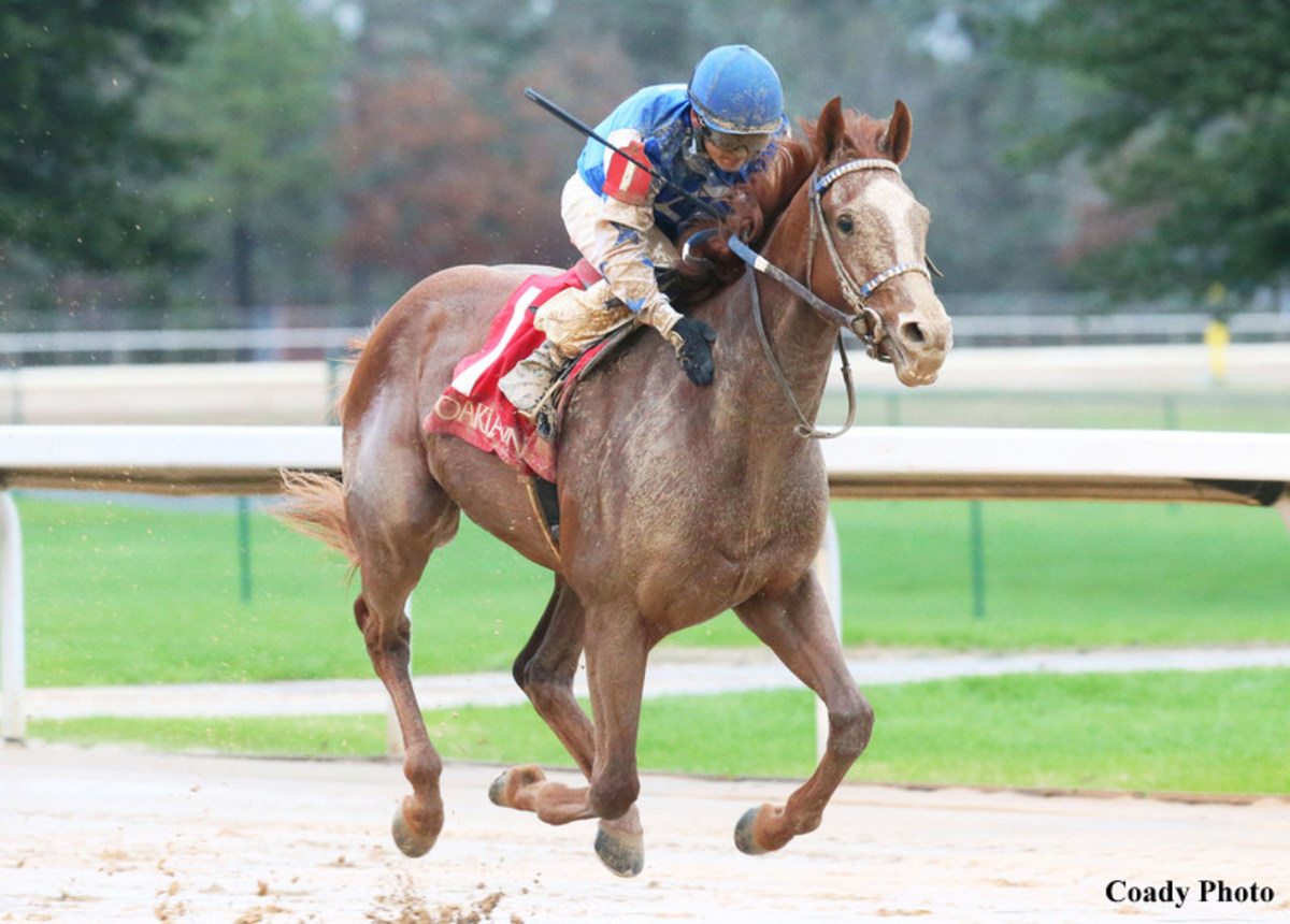 David Cohen Hoping For Return Trip To Kentucky Derby With Dash Attack ...