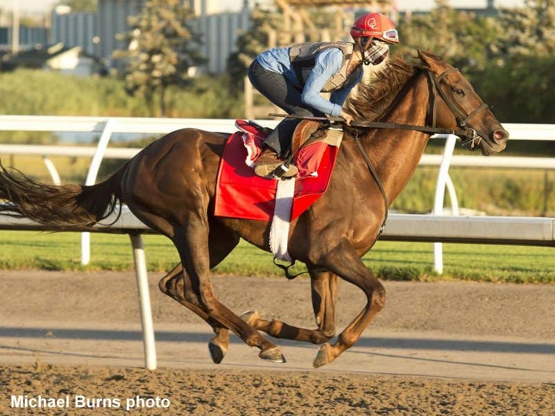 Canadian Triple Crown: Six Of Top Eight From Queen's Plate Move On To ...