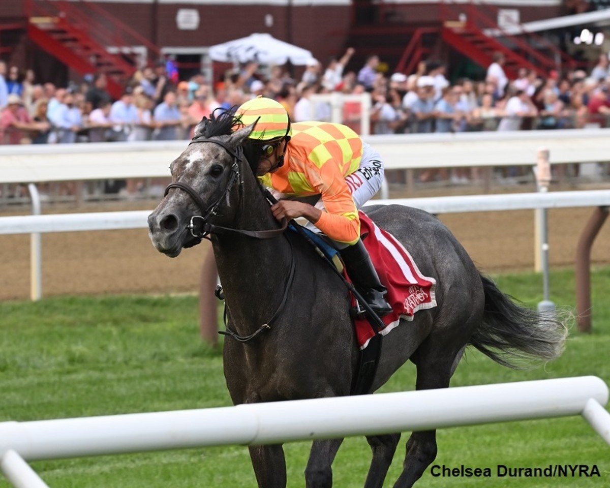 Caravel Chasing Repeat In Saturday's Caress - Paulick Report | Latest ...