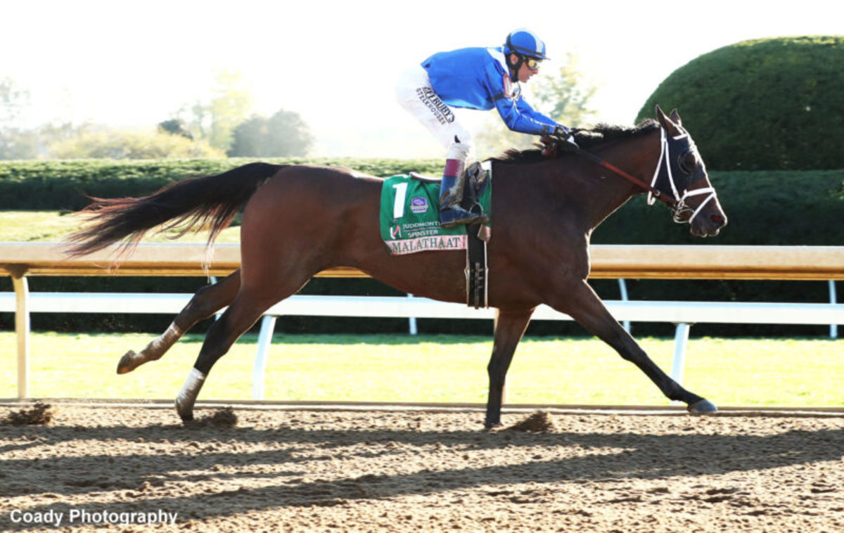 Malathaat Rolls To Victory in 'Win and You're In' Spinster - Paulick ...