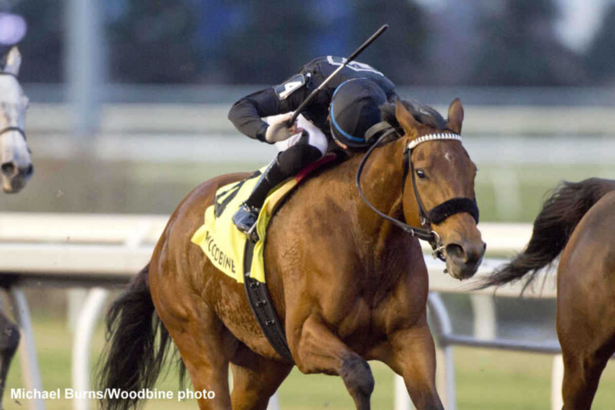 'She Had A Couple Little Setbacks In The Summer': Il Malocchio Makes ...