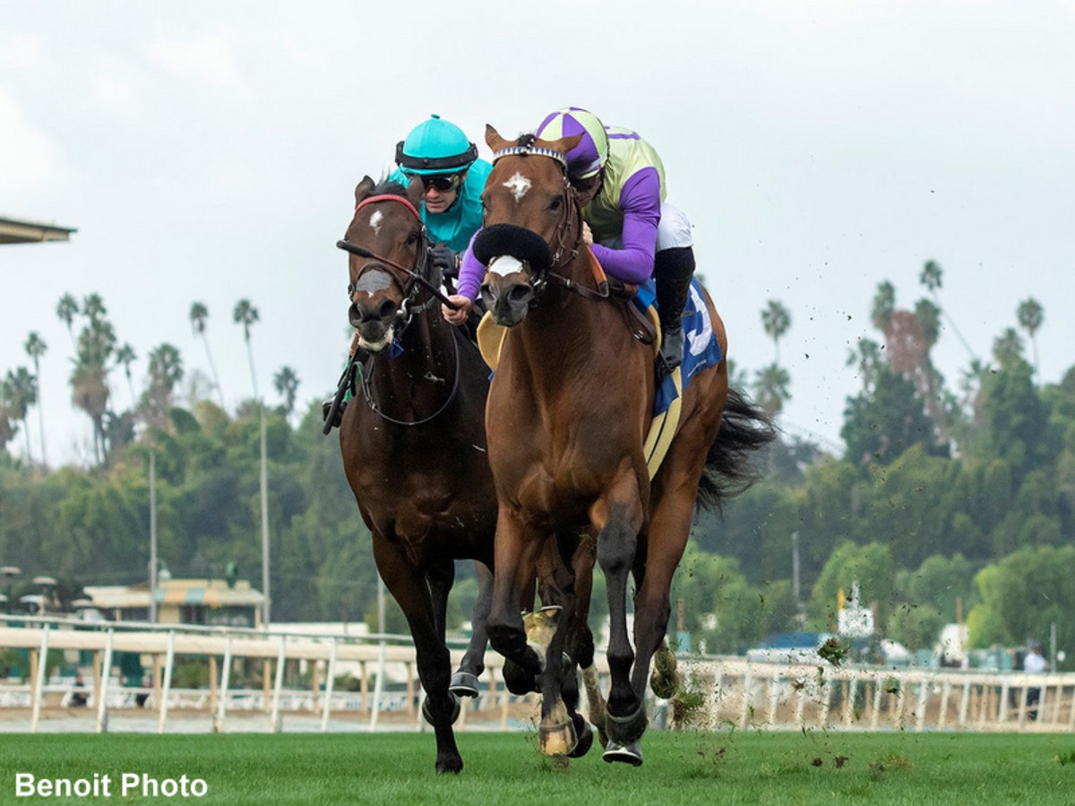 14 Set To Go Postward In Del Mar's Opening Day Oceanside Stakes ...