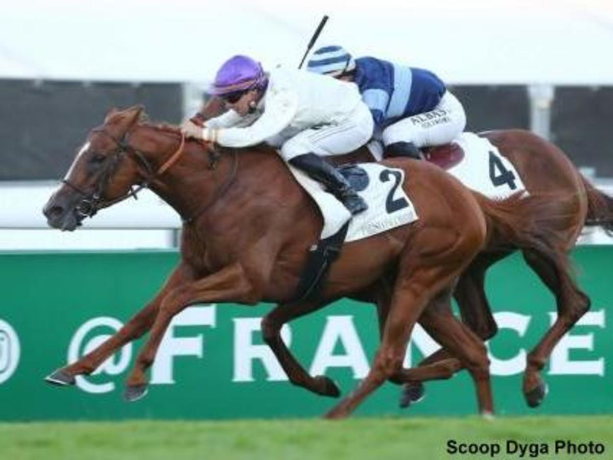 French Grade 1 Winner Onesto Takes On Sunday's Japan Cup - Paulick ...