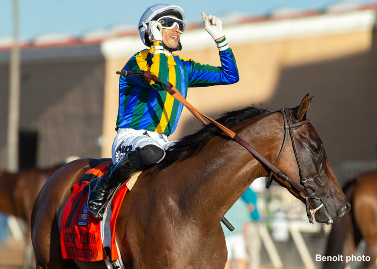 Grade 1 Winner Blue Stripe Confirmed Pregnant To Flightline - Paulick ...