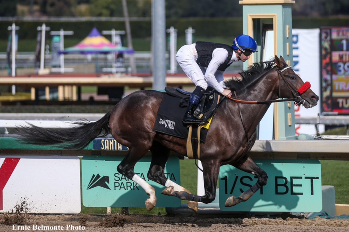 Hot Rod Charlie En Route To Dubai; Has Feb. 4 Prep Race Before World ...