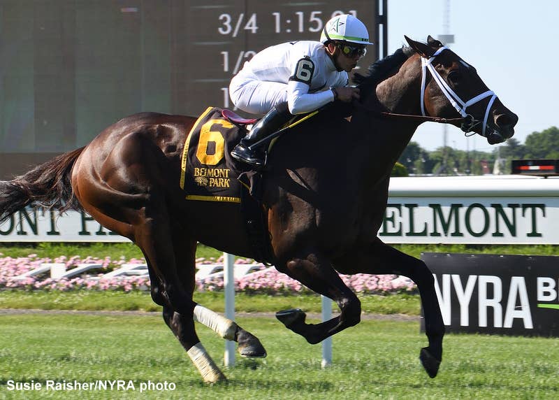 Emmanuel Romps Gate To Wire In Pennine Ridge In Turf Debut - Paulick ...