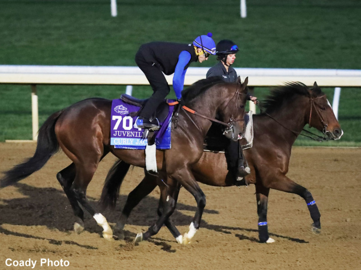Curly Jack Returns To Churchill Downs For Saturday's Kentucky Jockey ...