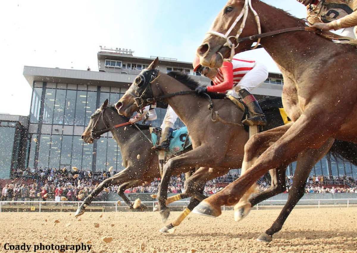 Oaklawn Opener: 10 Races With 109 Entrants Carded For Friday - Paulick ...