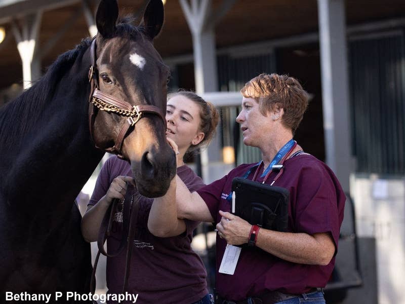 Fourth Annual Thoroughbred Aftercare Summit Will Take Place During ...