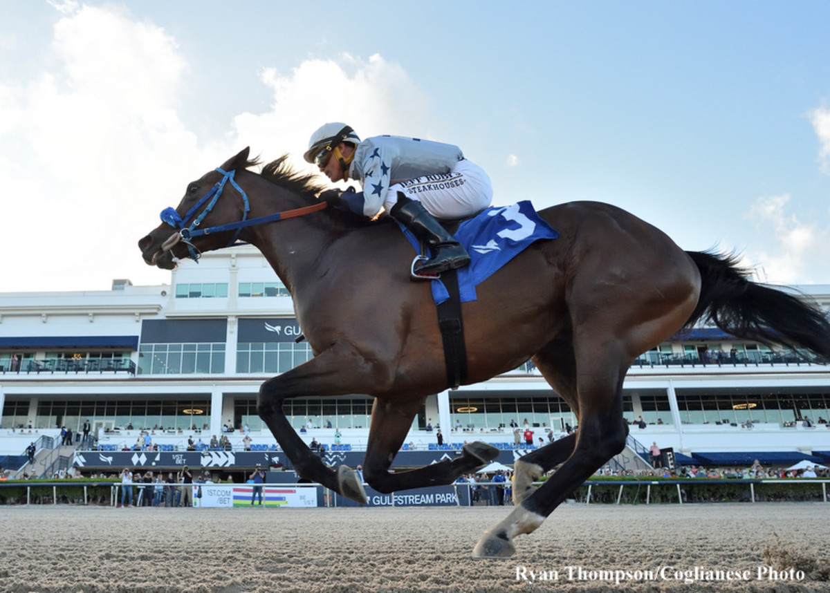 Simplification Arrives At Pleasant Acres Stallions, To Stand For $6,500 ...