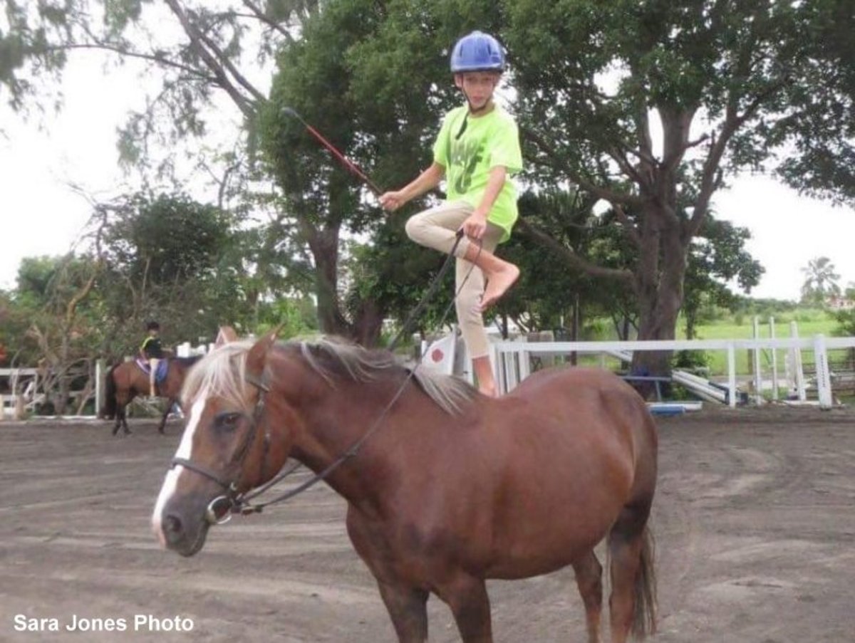 16-Year-Old Rider From Barbados, Slade Jones Making His Presence Felt ...