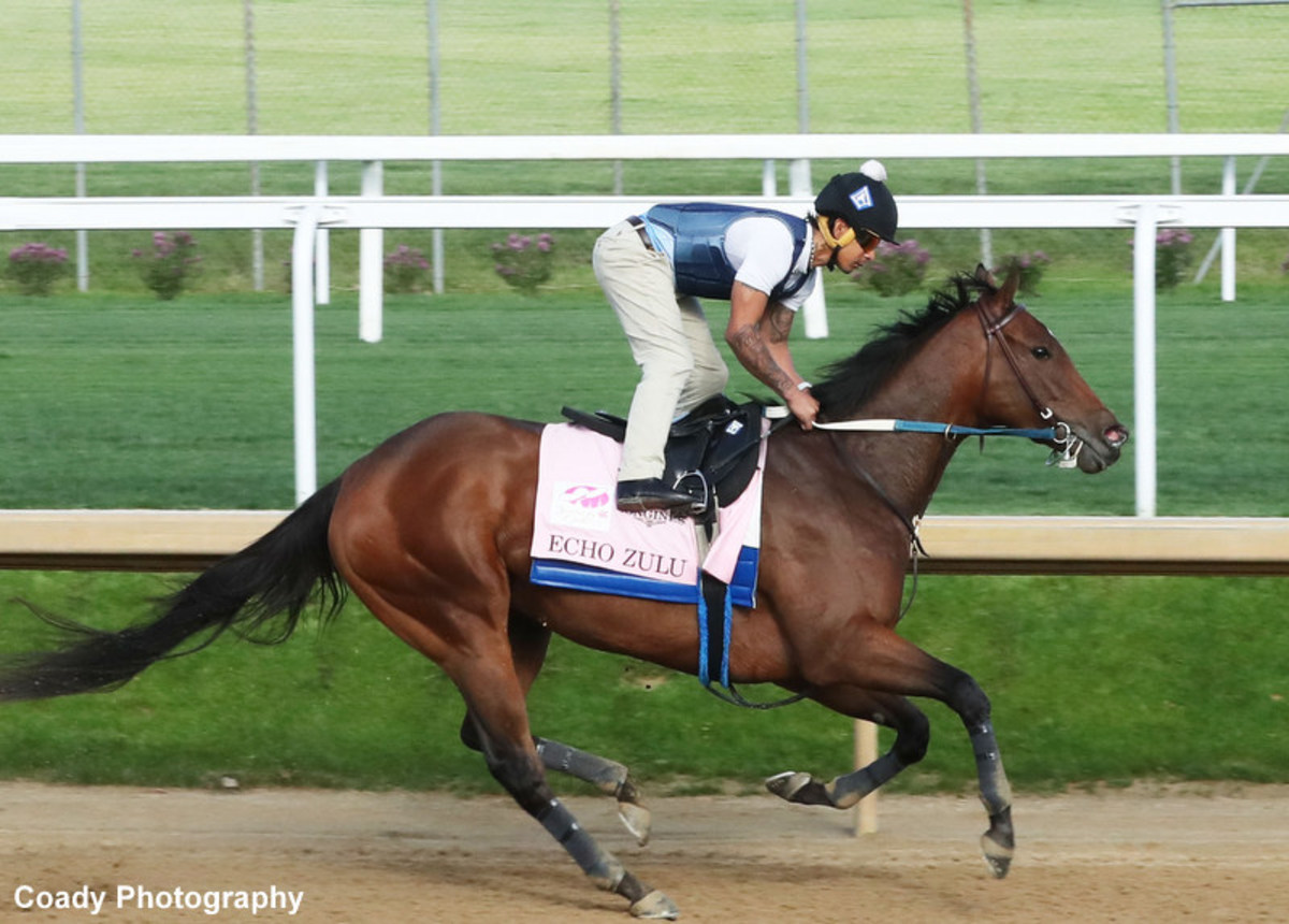 Echo Zulu Has Easy Breeze At Churchill; Asmussen Wants Her 'Razor Sharp ...