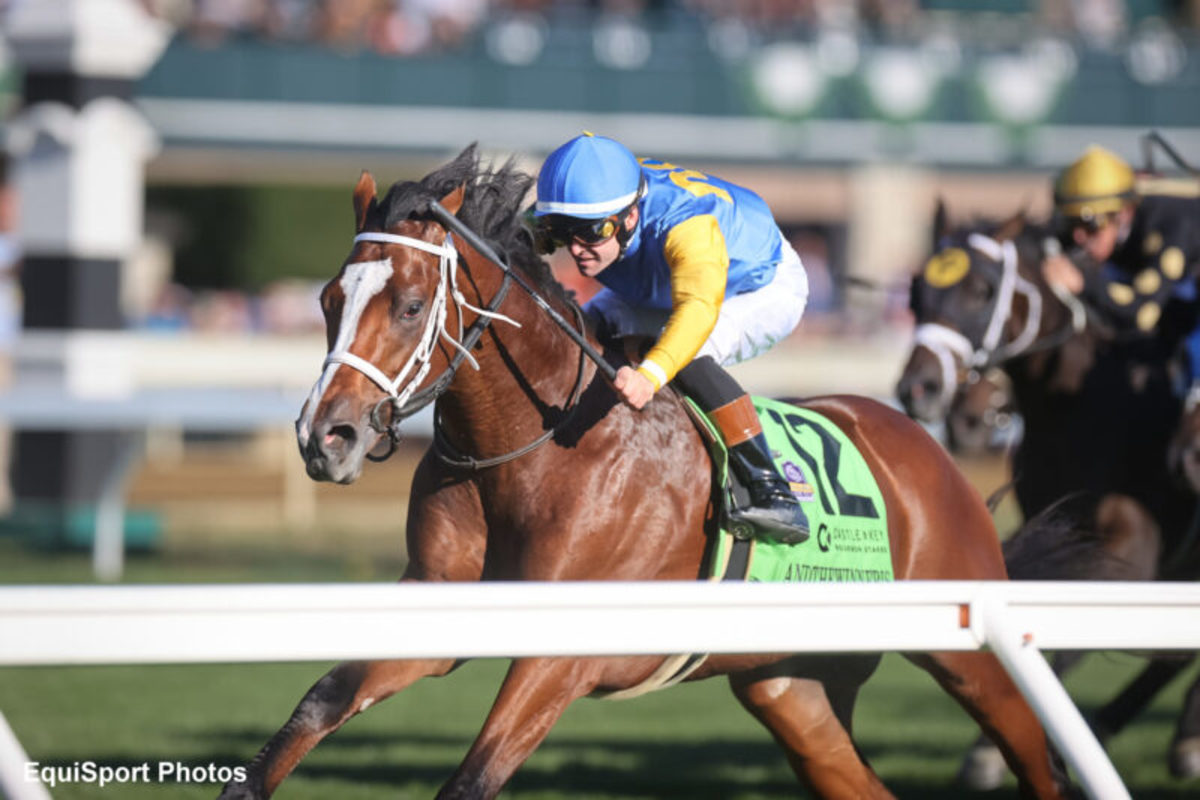 Road To The Kentucky Derby: Graded Turf Winner Andthewinneris Makes ...