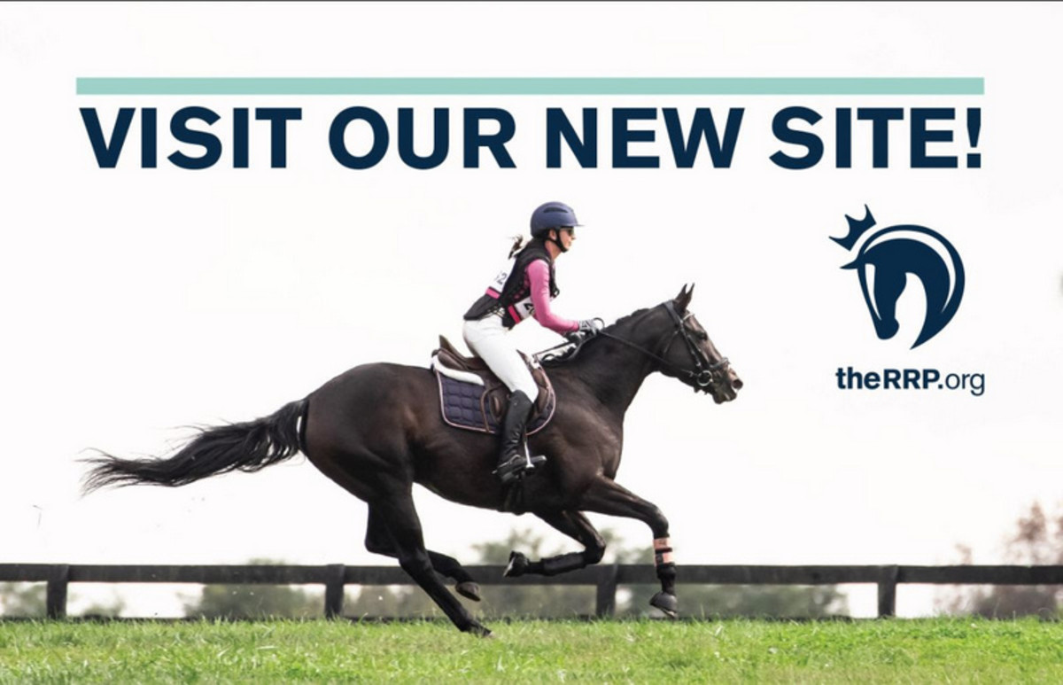 Retired Racehorse Project Pittman Q&A: Bring Racing, Riding Worlds