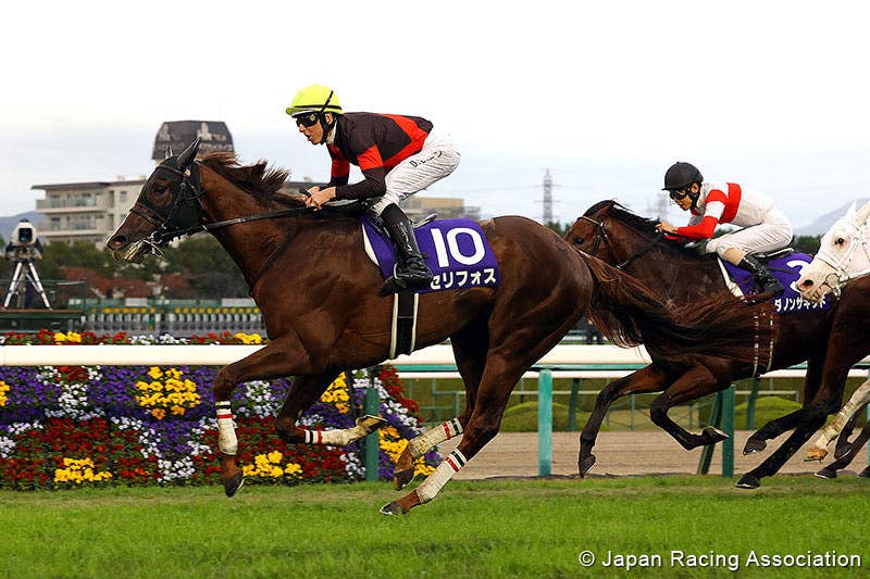 ‘The Horse Was Super Today’: Late-Running Serifos Up In Time In Japan’s ...