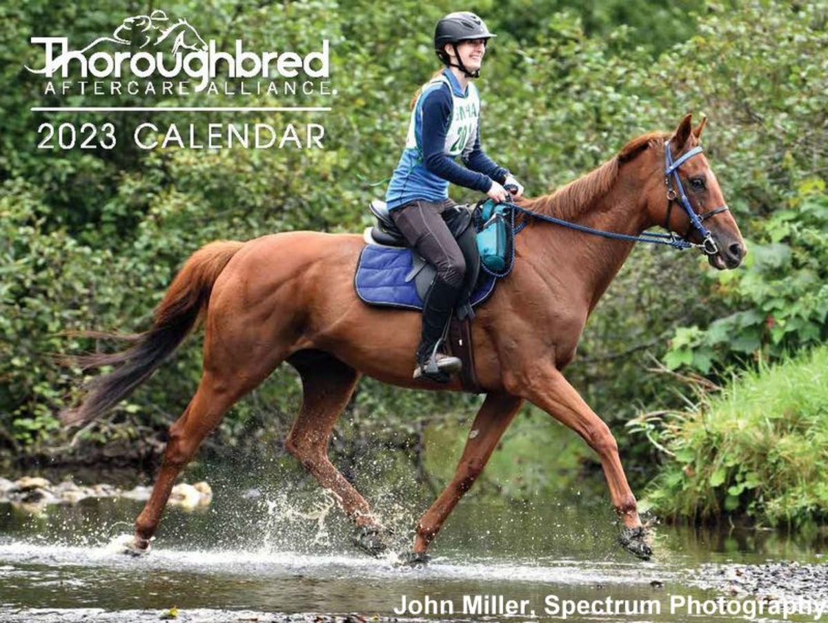 TAA Announces 2023 Calendar Photo Contest Winners - Paulick Report ...