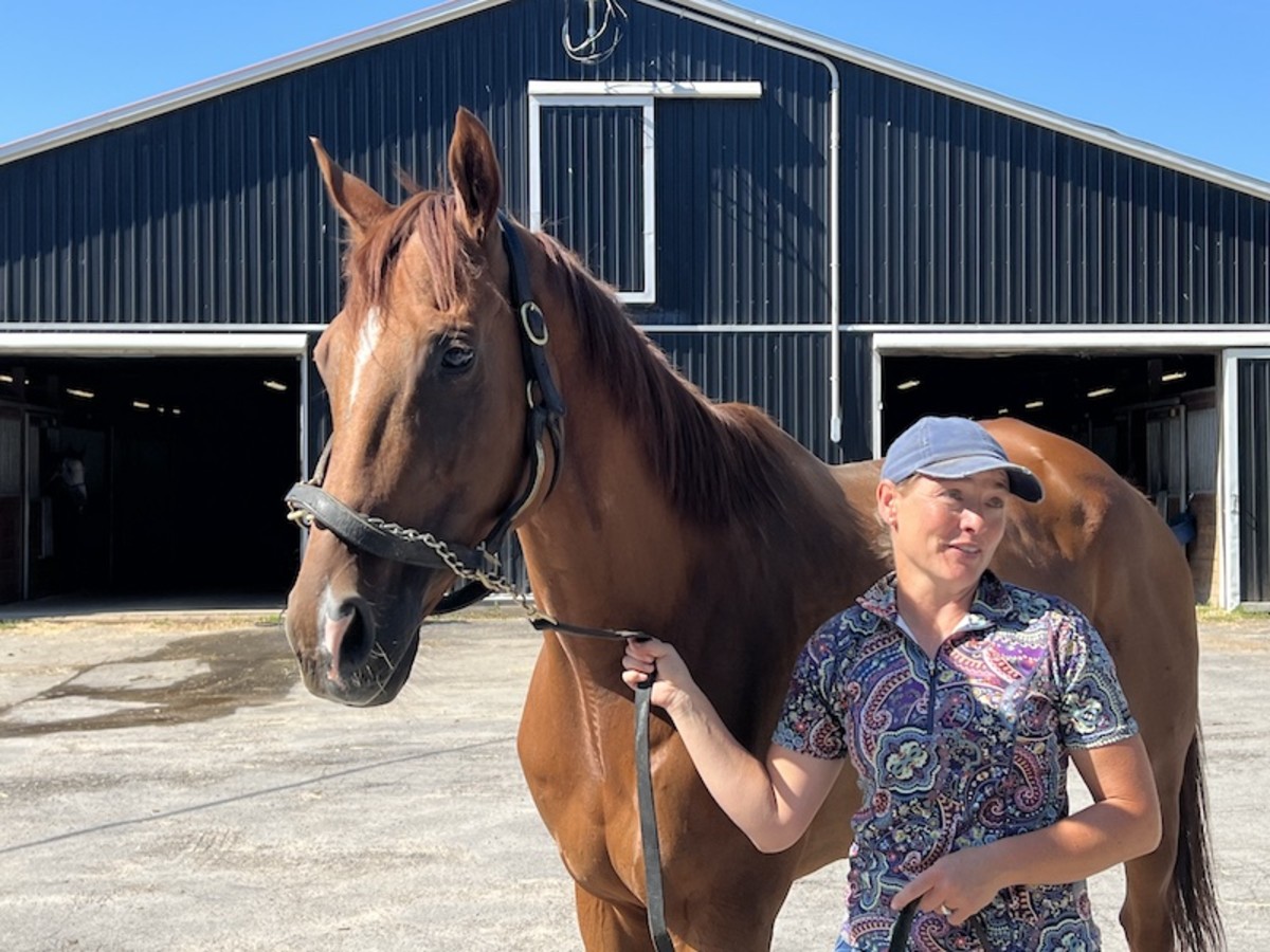 Canadian Fan Favorite Pink Lloyd Settling Into Retirement At LongRun ...