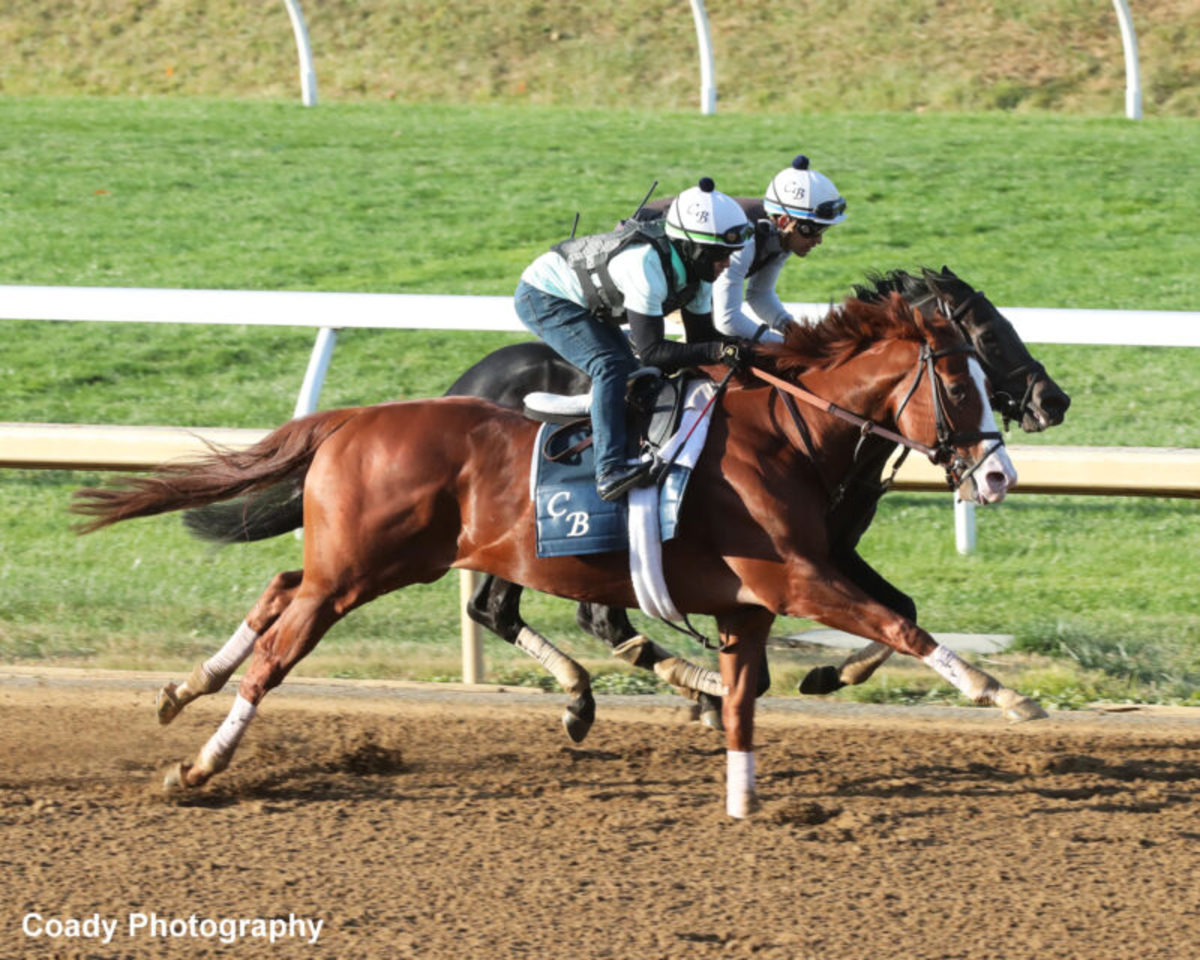 Breeders' Cup Hopefuls Jack Christopher, Search Results, Goodnight ...