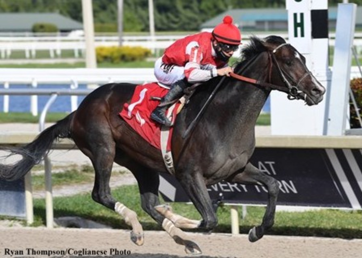 Equibase Analysis: Galt, Simplification Most Likely Upsetters In Holy ...