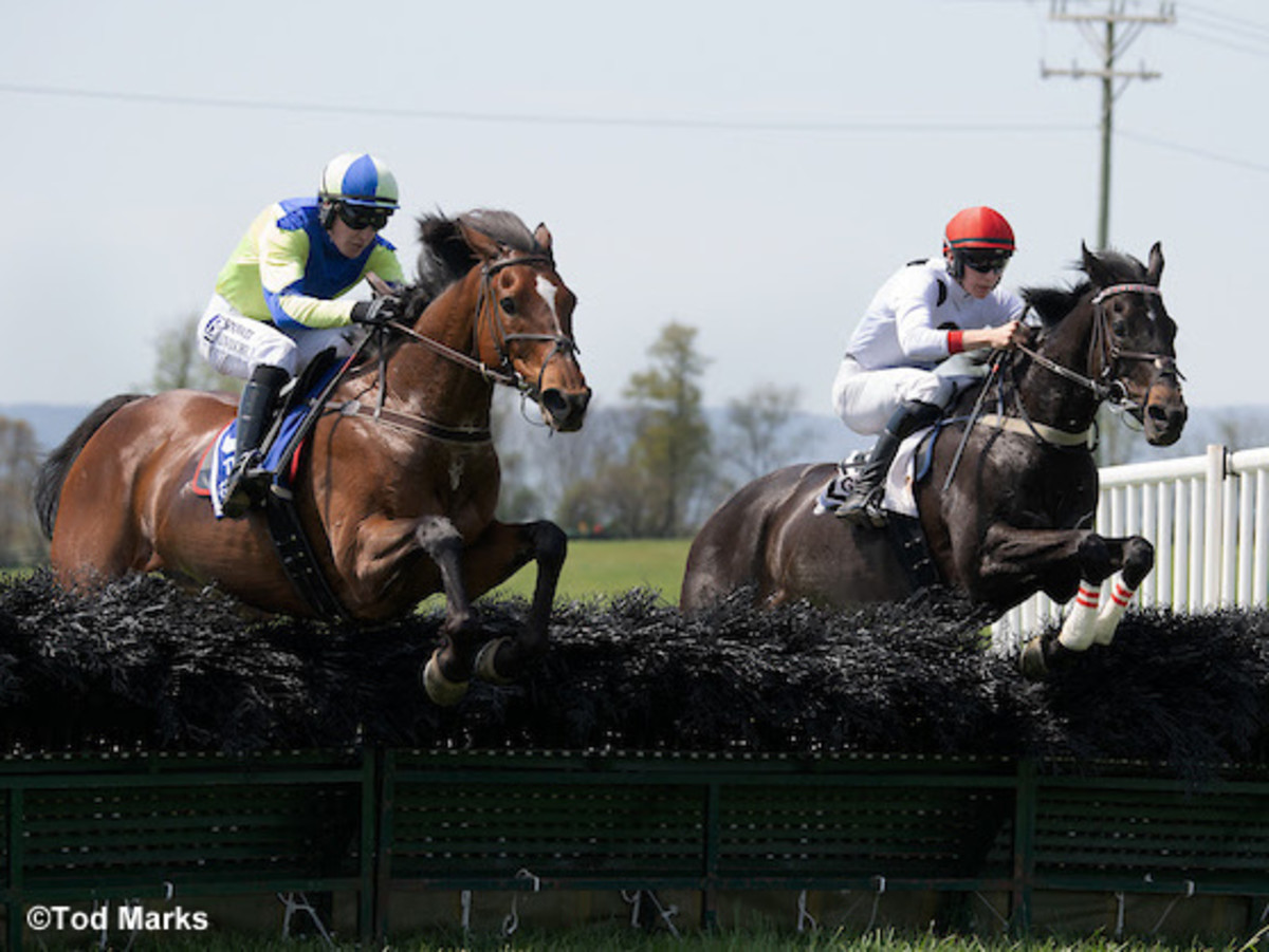 NSA: Iranistan Springs Upset In Gwathmey, 'Oz' Shows His Wizardry In ...