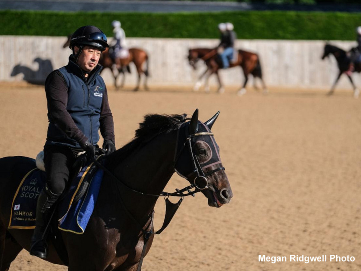 Shahryar Bidding To Be Japan's First Royal Ascot Winner In Prince Of ...