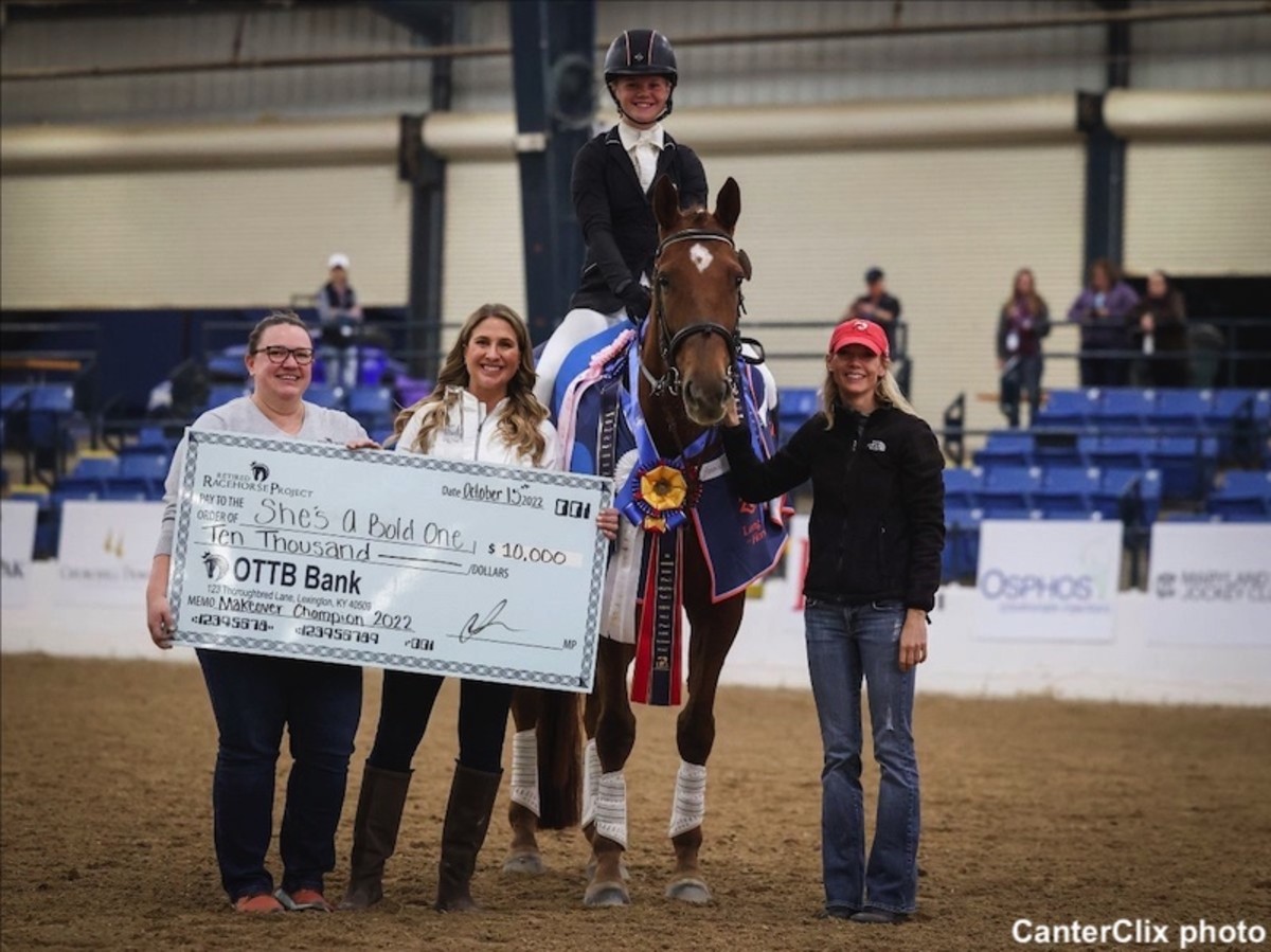 Midshipman Filly She's A Bold One Named Thoroughbred Makeover Champion ...
