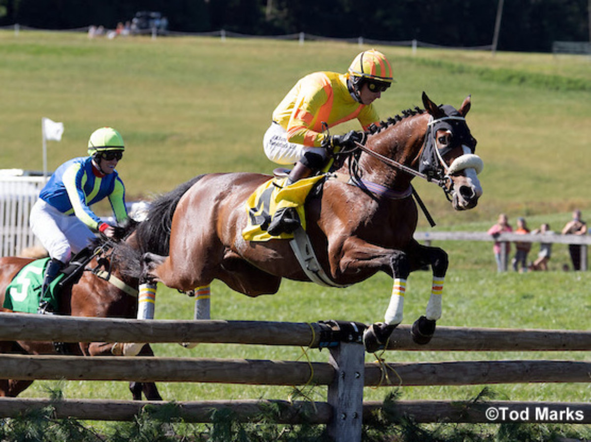 NSA: Timber Features On Tap At Geneseo, Middleburg - Paulick Report ...