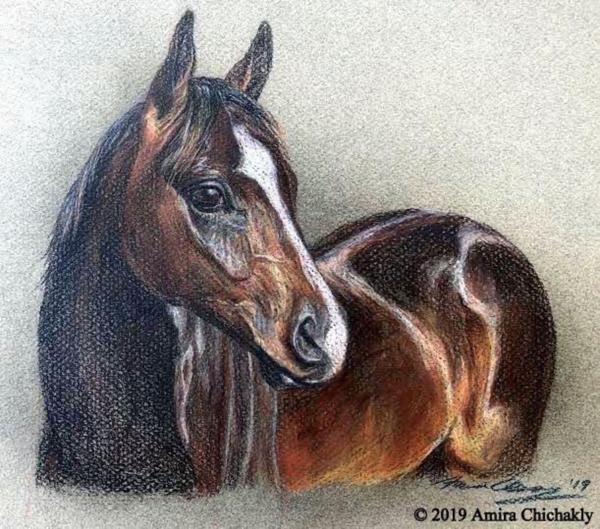 Chichakly: The Shandian Case Should Be A Reminder That 'The Horse Owes ...