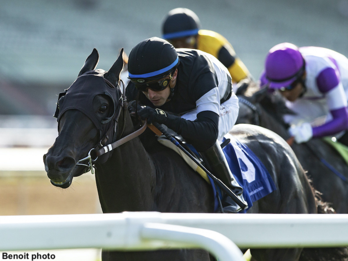 Canoodling Scores Front-End Wilshire Victory On Santa Anita Lawn ...