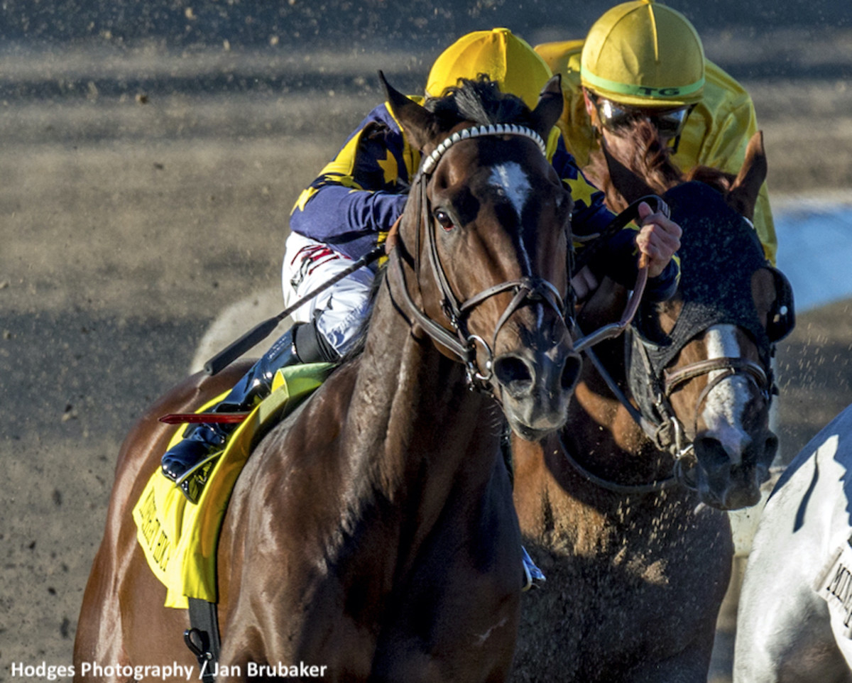 Olympiad Records Initial Stakes Success With Track-Record Performance ...