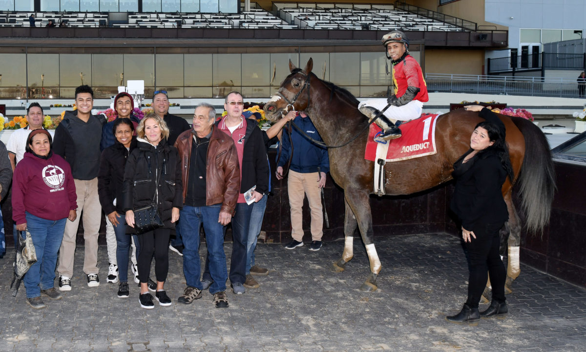 'I'm Certain I Made Quite A Scene': Trainer Faith Wilson Relishing ...