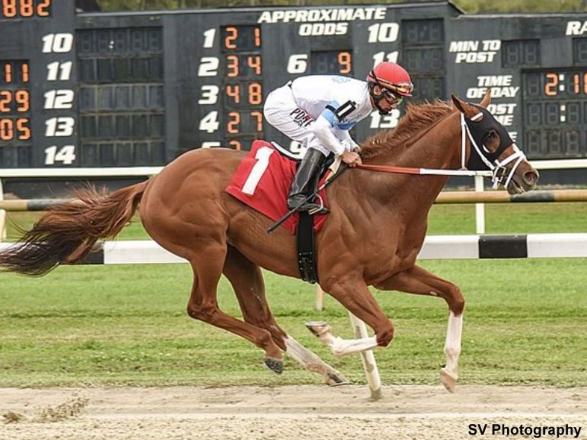 'A Big Deal For Me': Veteran Horseman Kevin McKathan Talks Preakness ...