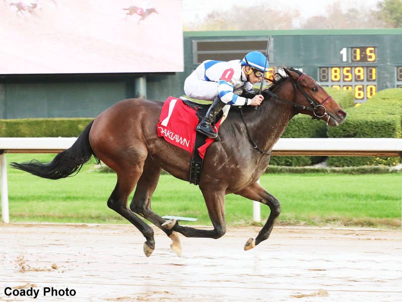 Unbeaten Juvenile Count De Monet 'Getting Better All The Time,' Leads ...