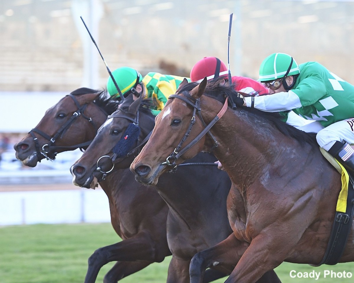 Another Mystery, Fantasioso Dead-Heat In Thrilling John B. Connally ...