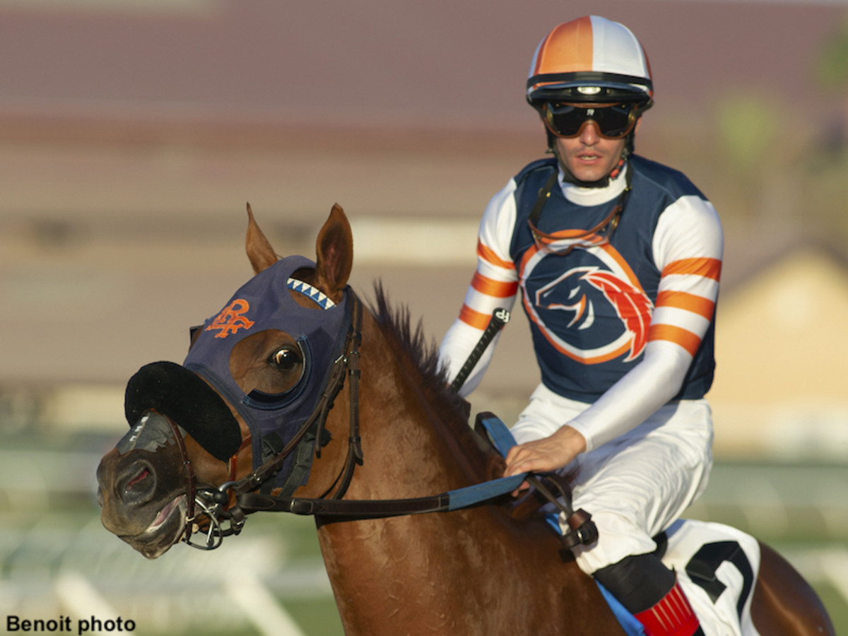 Grass Veteran Gold Phoenix Eyes Second Eddie Read Success - Paulick ...