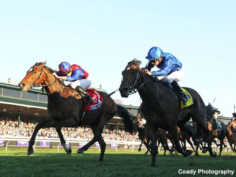 Victoria Road Gives O'Brien, Moore Fifth Juvenile Turf Victory, Nosing ...
