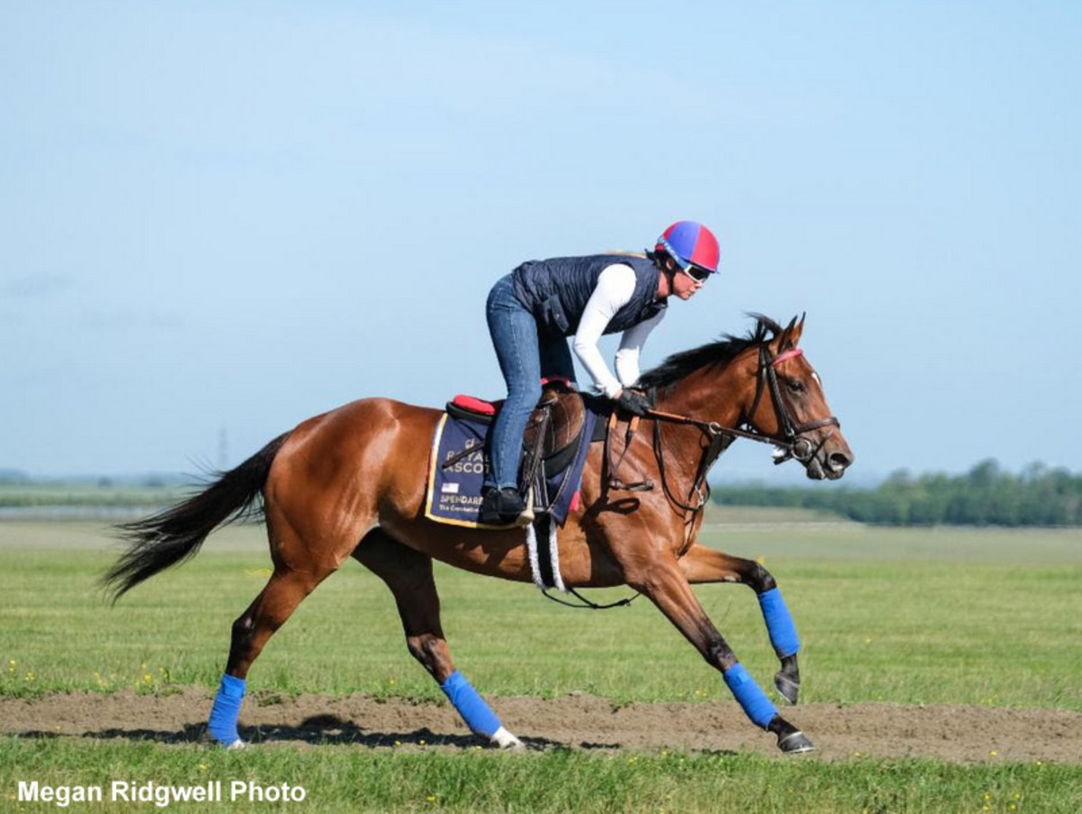 Spendarella Taking Everything 'In Stride' After Shipping West For Del ...