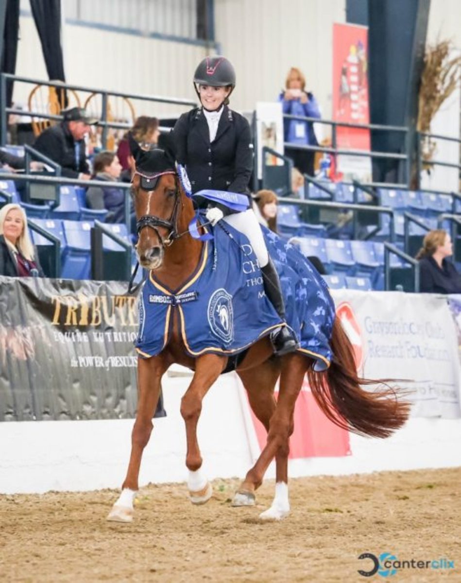 Horowitz On OTTBs, Presented By Excel Equine: 'Quirky' Kubo Cat Dished ...