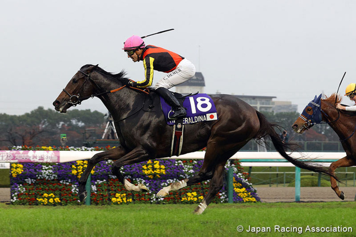 Geraldina, Daughter Of Iconic Japanese Racemare Gentildonna, Wins Queen ...
